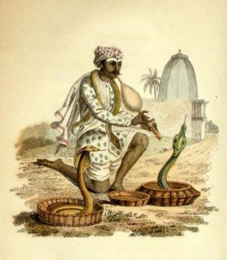The Snake Charmer: A Reclamation of Exoticised Colonial India – Anisha ...